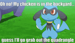 Pokemon Riolu Chicken In Backyard Meme GIF | GIFDB.com