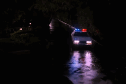 Police Car Going To The House Lights GIF | GIFDB.com