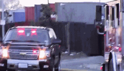 Police Car Lights Rescue GIF | GIFDB.com