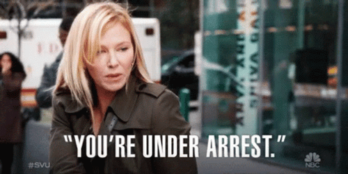 Police Girl You're Arrested GIF | GIFDB.com