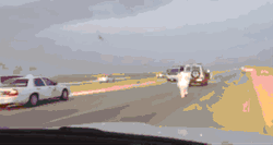 Police Taliban Rode Rage GIF | GIFDB.com