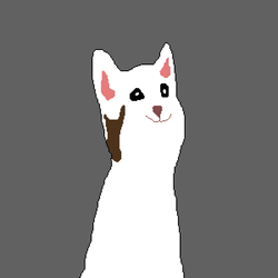 Pop Cat Oatmeal Cute Cartoon GIF | GIFDB.com