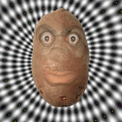 Potato Spin GIF | GIFDB.com