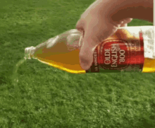 Pour One Out Olde English Beer GIF | GIFDB.com