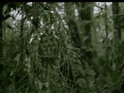 Predator Dance Goonies GIF | GIFDB.com