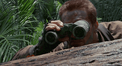 Predator 1997 Arnold Schwarzenegger Spying GIF | GIFDB.com
