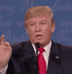 President Donald Trump Wrong Office Meme GIF | GIFDB.com