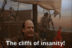 Princess Bride The Cliffs Of Insanity GIF | GIFDB.com