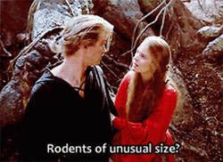 Princess Bride Rodents Of Unusual Size GIF | GIFDB.com