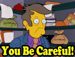 Principal Skinner Says You Be Careful GIF | GIFDB.com