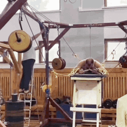 Pt Hilarious Exaggerated Stretching Exercise GIF | GIFDB.com