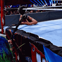 Pull Hair Wrestling Fight GIF | GIFDB.com