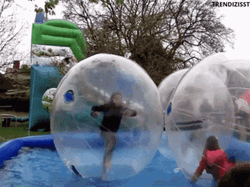 Quarantine Big Bubble Toy GIF | GIFDB.com