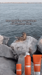 Raccoon Outside Applying Sunscreen For Summer GIF | GIFDB.com