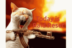 Cat Firing Guns Raid GIF | GIFDB.com