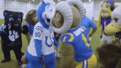 Rams Rampage Mascot Hugging GIF | GIFDB.com