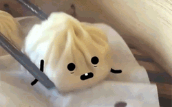 Random Dumpling Funny Holding On GIF | GIFDB.com