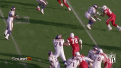 Randy Moss Midfield Catch Intercept GIF | GIFDB.com