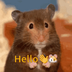 Rat Saying Hello Meme GIF | GIFDB.com