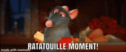 Ratatouille Mmoment Remy GIF | GIFDB.com