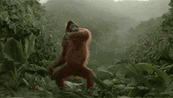 Rave On Gorilla Dancing GIF | GIFDB.com