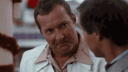 Really Nice Clark Griswold Christmas Lights GIF | GIFDB.com