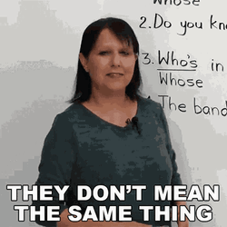 Rebecca English Lesson Same Same But Different GIF | GIFDB.com