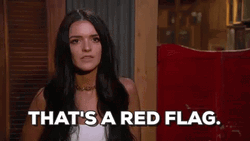 That's A Red Flag GIF | GIFDB.com