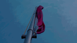 Red Flag On A Pole GIF | GIFDB.com