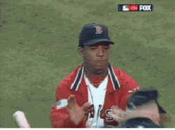 Red Sox Fighting Moments GIF | GIFDB.com