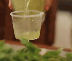 Refilling Glass Of Margarita GIF | GIFDB.com