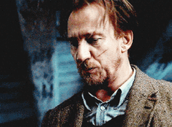 Remus Lupin Explaining Something GIF | GIFDB.com