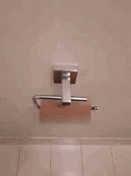 Replace The Empty Toilet Paper GIF | GIFDB.com