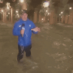 Reporter There Goes The Hat Hurricane Meme GIF | GIFDB.com
