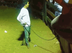 Revolving Door Slam Bull GIF | GIFDB.com