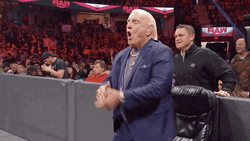 Ric Flair Iconic Wooo GIF | GIFDB.com