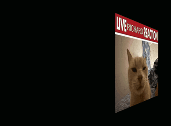 Richard Live Richard Reaction Gif GIF | GIFDB.com