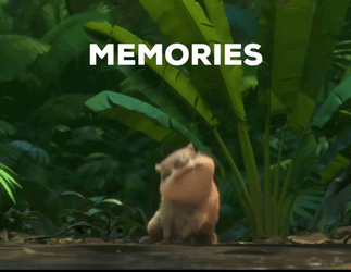 Rio 2 Memories GIF | GIFDB.com