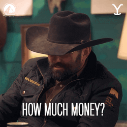 Rip Yellowstone How Much Money? GIF | GIFDB.com