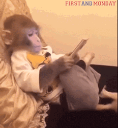 Rizz Monkey Chilling Using Mobile Phone GIF | GIFDB.com