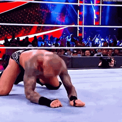 Rko Outta Nowhere Wrestler Star GIF | GIFDB.com