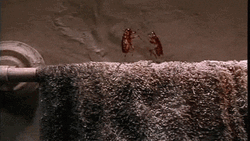 Roach Performance GIF | GIFDB.com