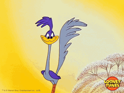 Road Runner Sign Looney Tunes GIF | GIFDB.com