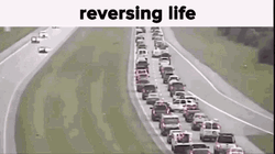 Road Traffic Car Reverse Life GIF | GIFDB.com