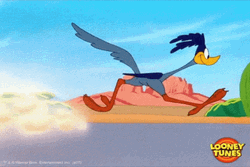 Roadrunner 498 X 331 Gif GIF | GIFDB.com