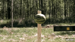 Rocket Slice Watermelon GIF | GIFDB.com