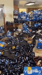 Room Full Of Bud Light GIF | GIFDB.com