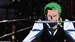 Roronoa Zoro With Falling Snow GIF | GIFDB.com