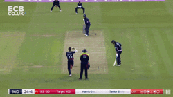 Ross Taylor Low Bat Swing GIF | GIFDB.com