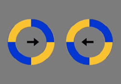 Rotating Circles Optical Illusion GIF | GIFDB.com